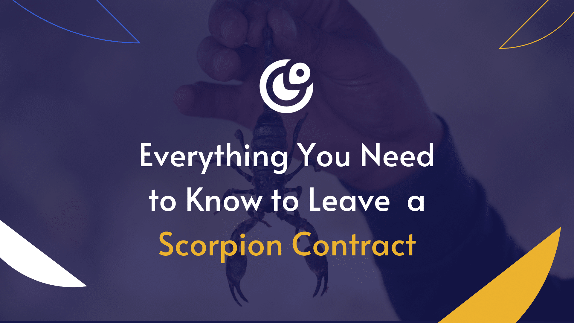 Leaving Scorpion? Here's Everything You need to Know